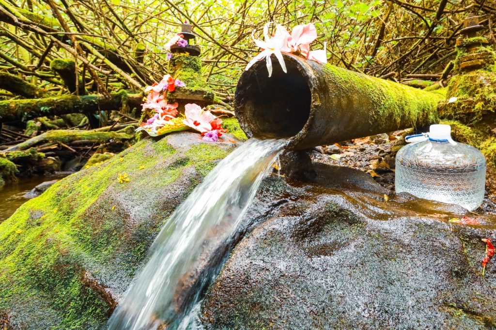 Nature's Best Water Dispenser: Natural Springs